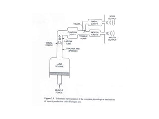 speech processing basics | PPTX