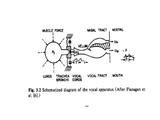 speech processing basics | PPTX
