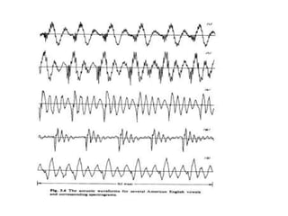 speech processing basics | PPTX