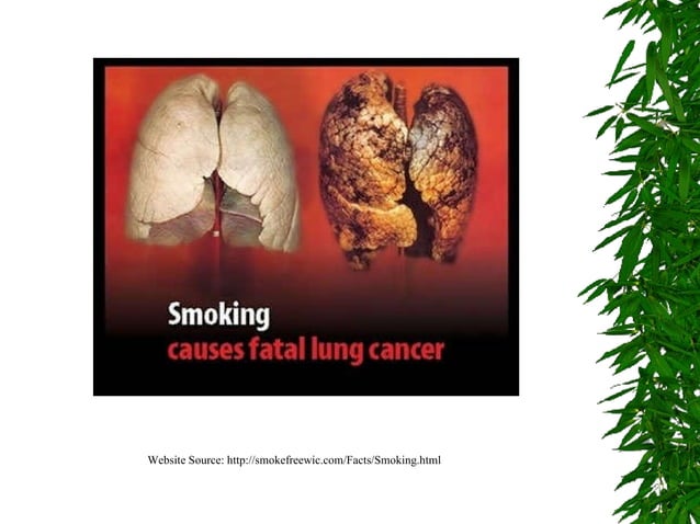 Smoking Powerpoint Presentation | PPT | Illegal Drugs, Tobacco ...