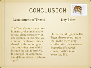 The Tiger Essay BluePrint | PPT