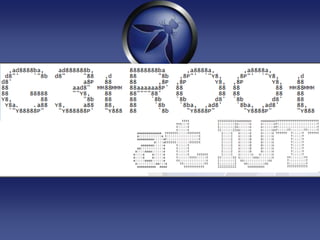 G3t R00t at IUT | PPT