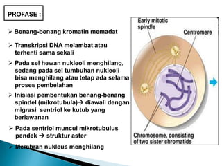 Materi Siklus sel | PPTX