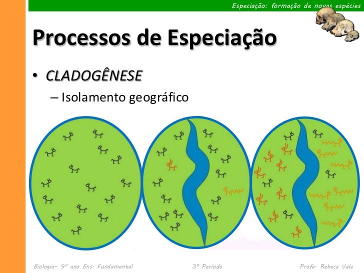 IV. 1 Formação de novas espécies