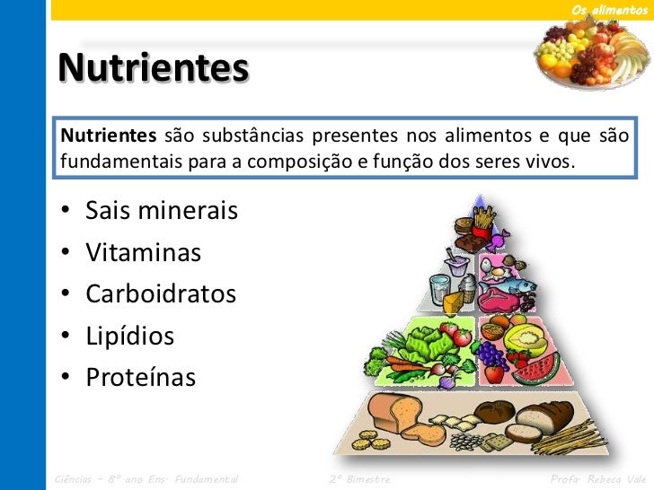 IV.1 Os alimentos
