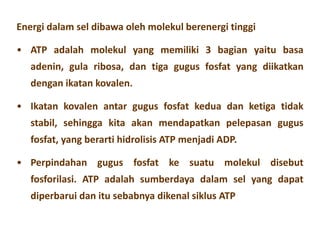 IV. METABOLISME KARBOHIDRAT.ppt