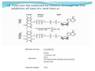 IV. METABOLISME KARBOHIDRAT.ppt