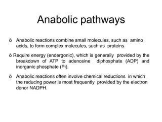 IV. METABOLISME KARBOHIDRAT.ppt