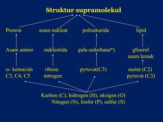 IV. METABOLISME KARBOHIDRAT.ppt