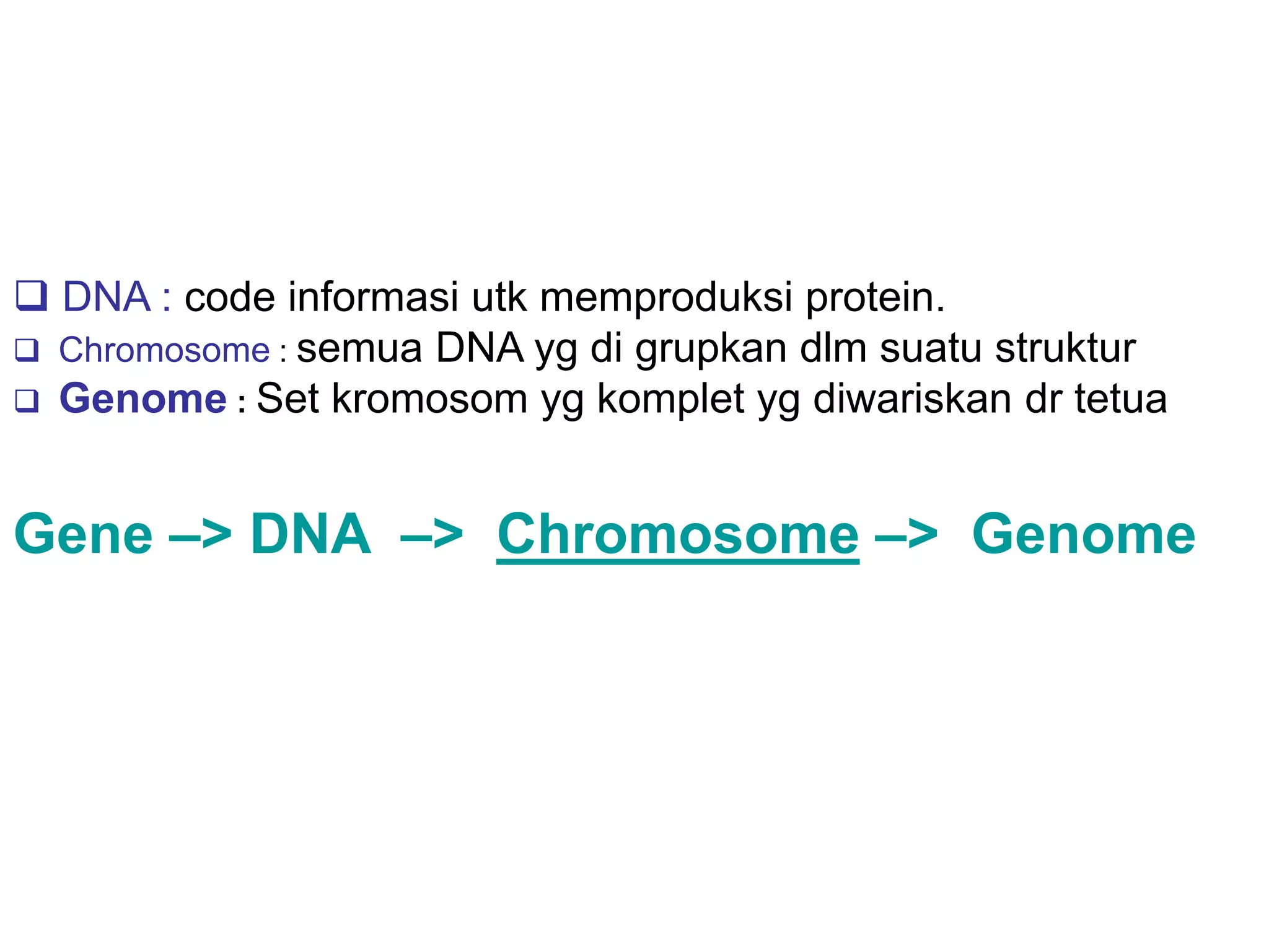 Struktur Kromosom.ppt