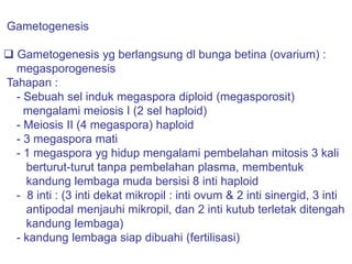 Struktur Kromosom.ppt