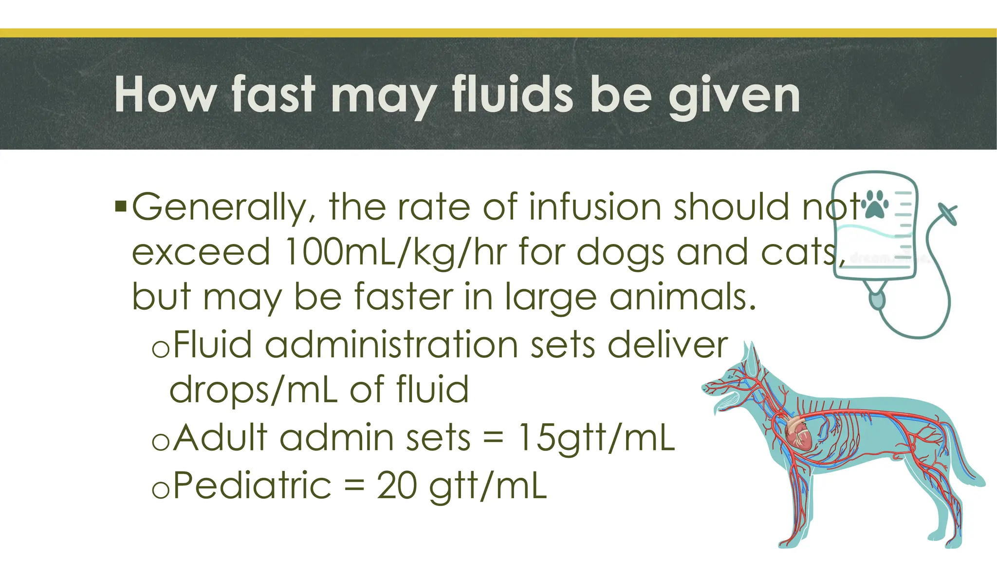 IV Drip Rate Pharmacology Veterinary Medicine | PDF