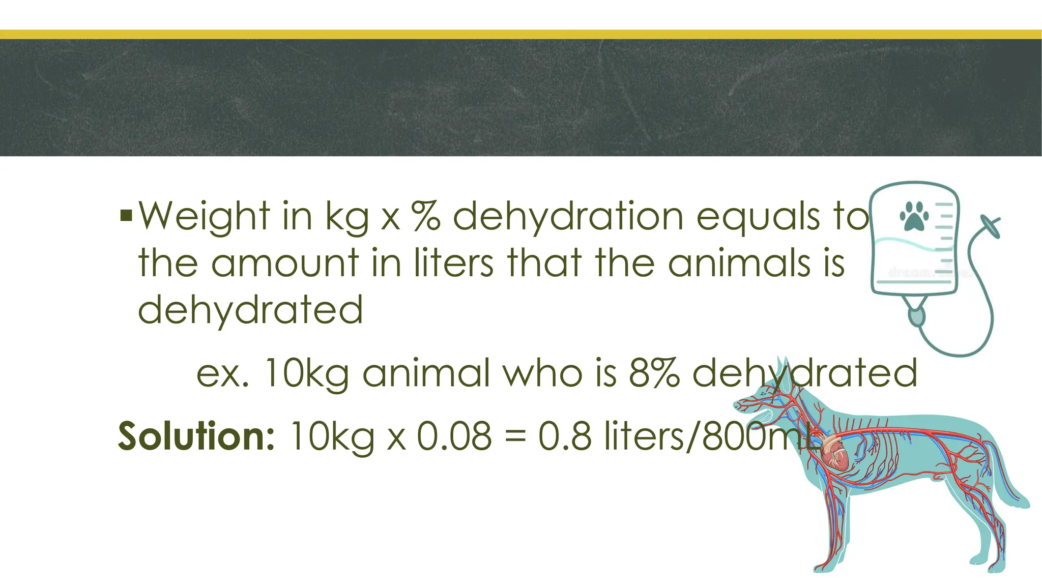 IV Drip Rate Pharmacology Veterinary Medicine | PDF