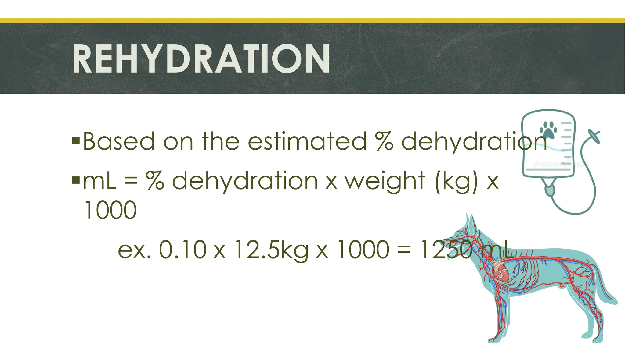 IV Drip Rate Pharmacology Veterinary Medicine | PDF
