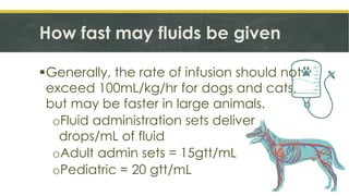 IV Drip Rate Pharmacology Veterinary Medicine | PDF
