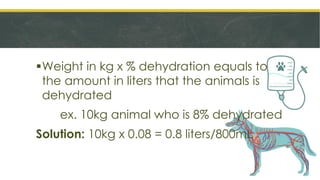 IV Drip Rate Pharmacology Veterinary Medicine | PDF