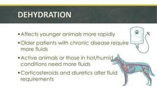 IV Drip Rate Pharmacology Veterinary Medicine | PDF
