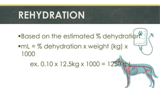 IV Drip Rate Pharmacology Veterinary Medicine | PDF