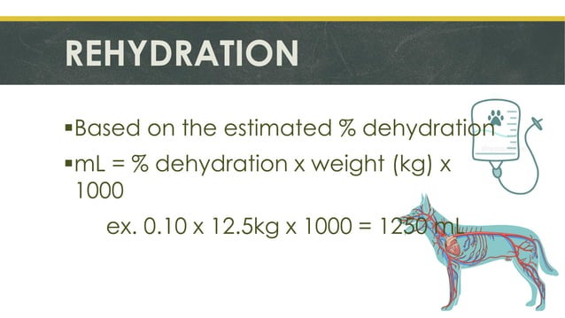 IV Drip Rate Pharmacology Veterinary Medicine | PDF
