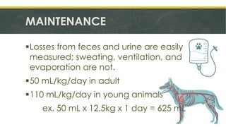 IV Drip Rate Pharmacology Veterinary Medicine | PDF