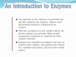 Enzymes | PPTX
