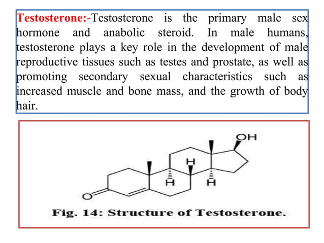 Sex hormones - Medicinal Chemistry | PPTX | Hormonal Disorders ...