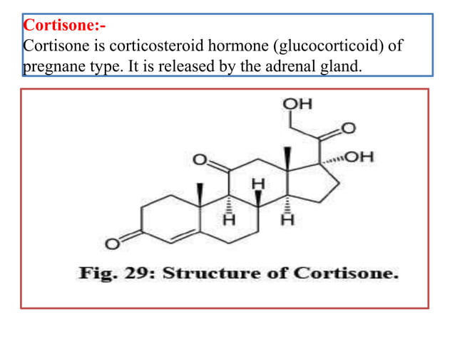 Corticosteroids- medicinal chemistry | PPTX | Skin and Dermatology ...