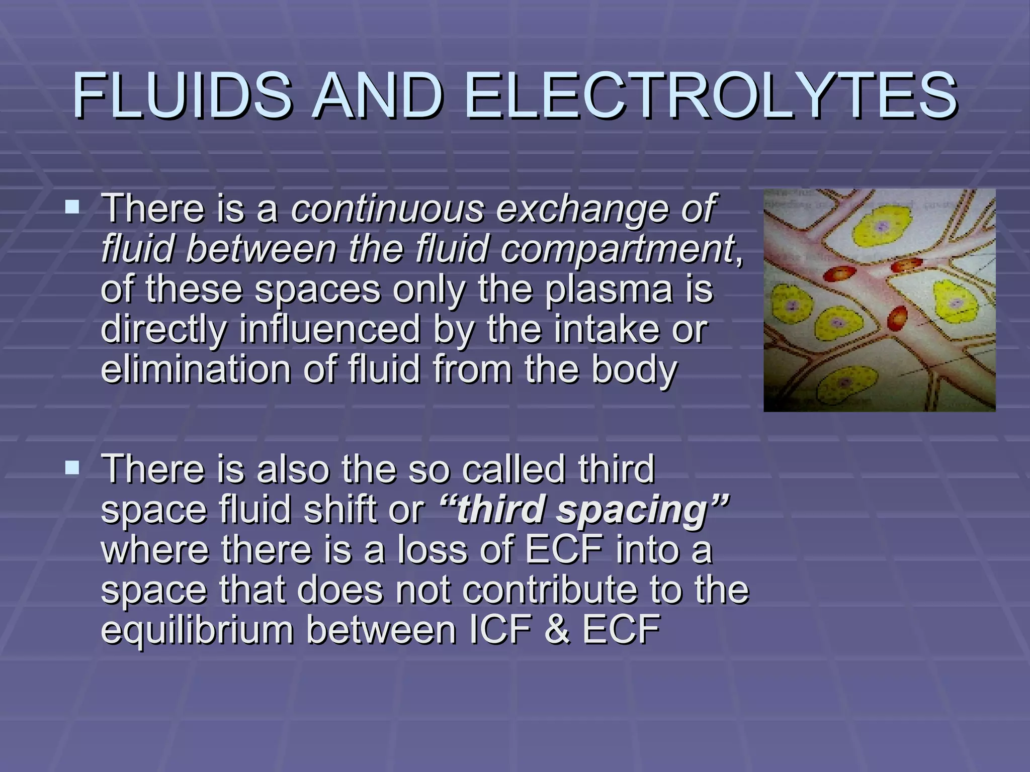 Intravenous Therapy: IVF, Electrolytes, TPN | PPT