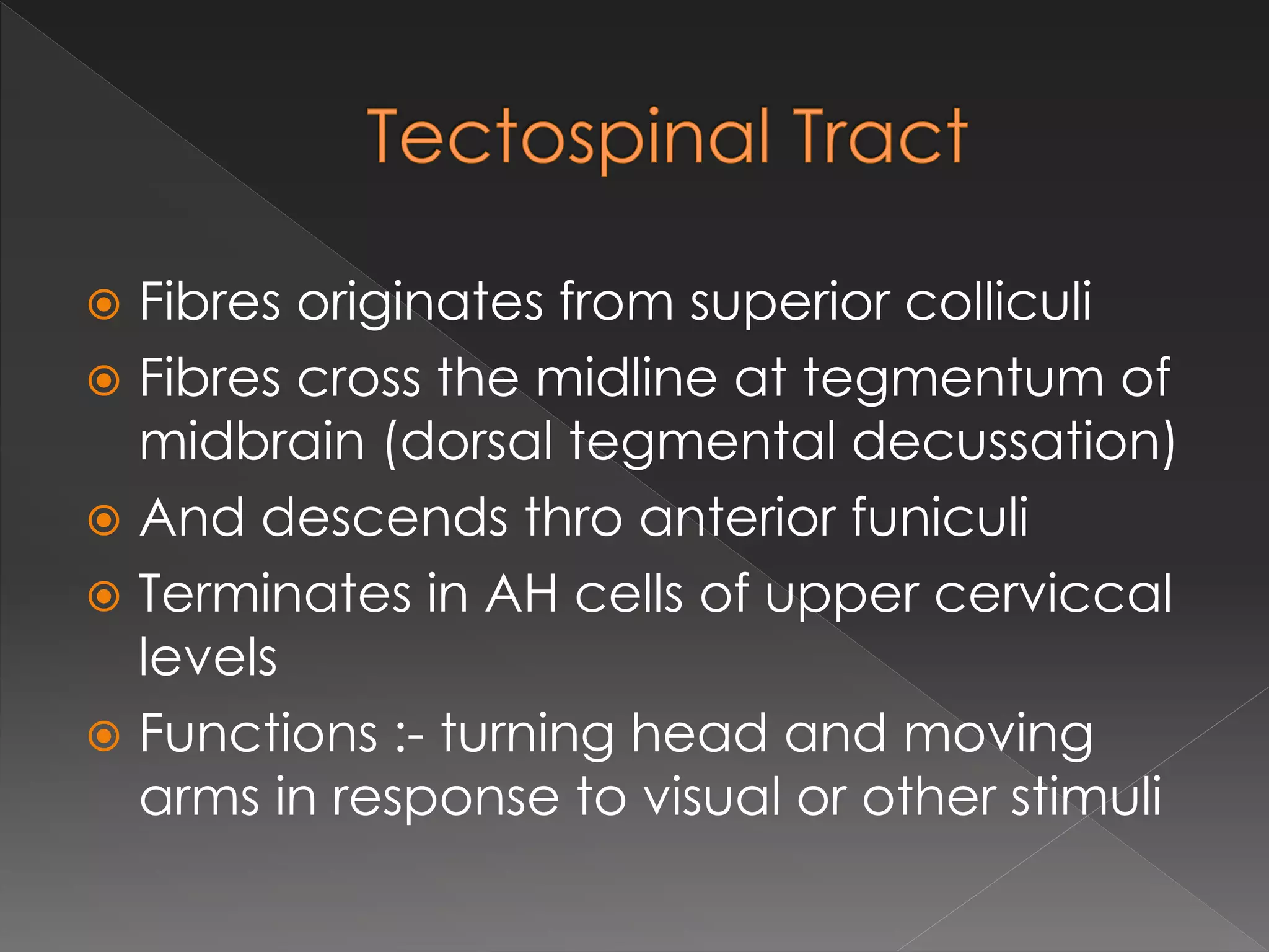 Pyramidal tract and extra pyramidal tracts | PPTX