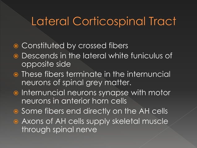 Pyramidal tract and extra pyramidal tracts | PPTX