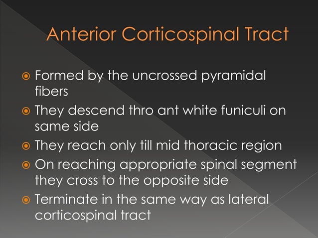 Pyramidal tract and extra pyramidal tracts | PPTX