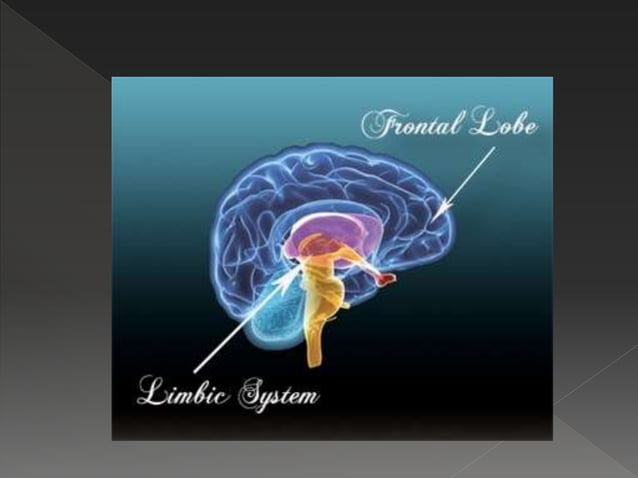Pyramidal tract and extra pyramidal tracts | PPTX