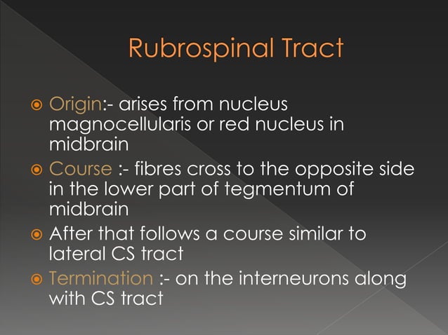 Pyramidal tract and extra pyramidal tracts | PPTX