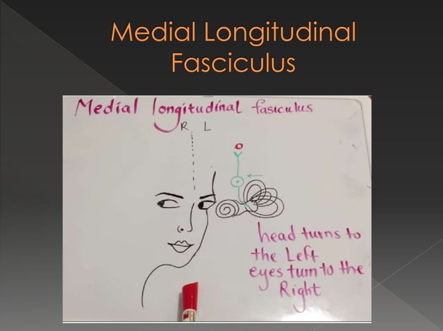 Pyramidal tract and extra pyramidal tracts | PPTX