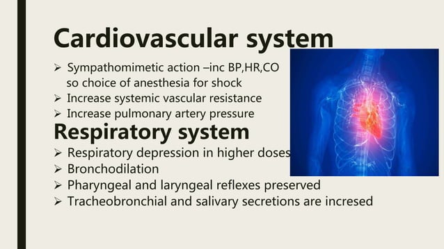 INTRAVENOUS AND INHALATIONAL ANESTHETIC AGENTS | PPTX