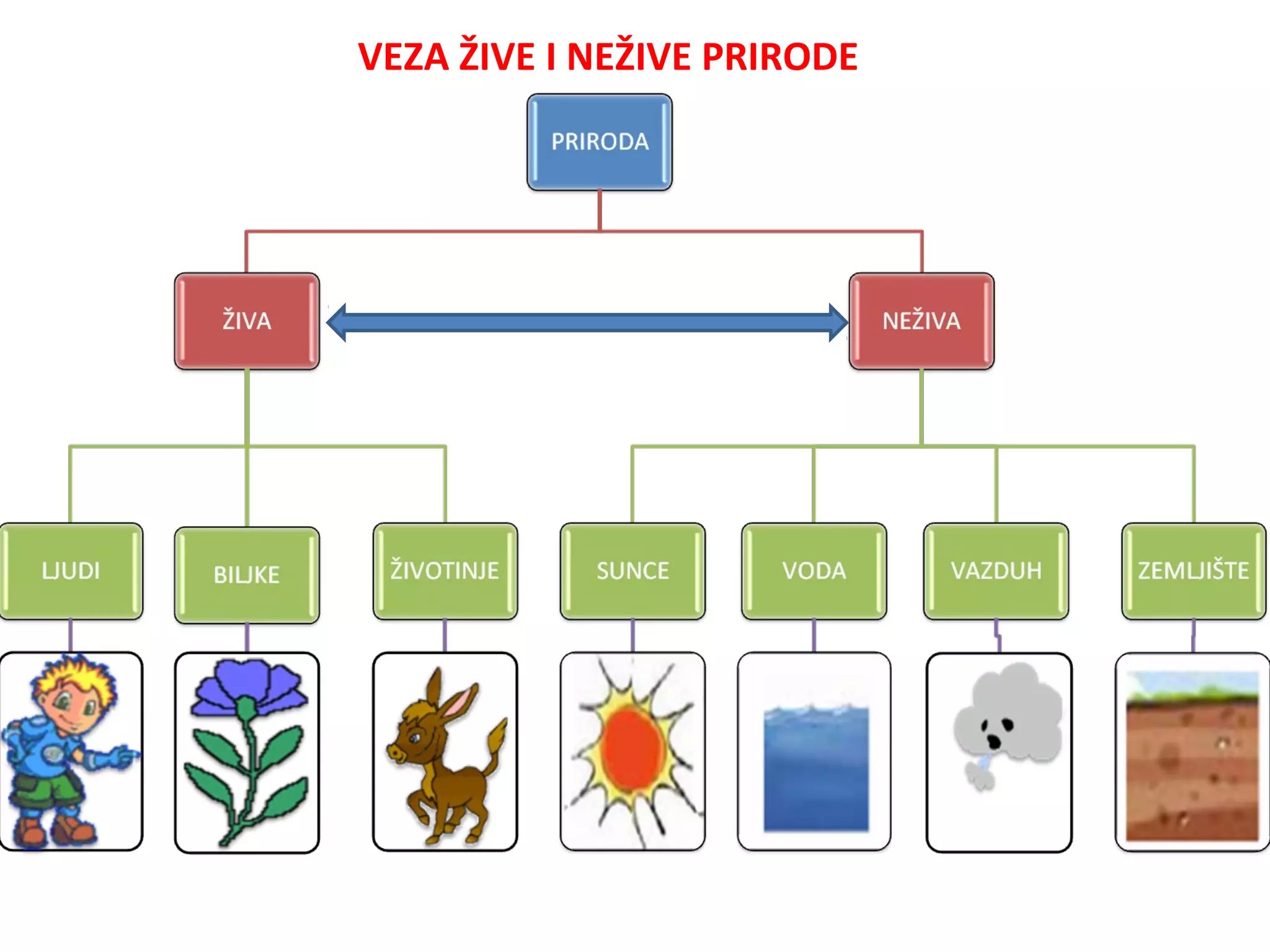 žIva i neživa priroda | PPT