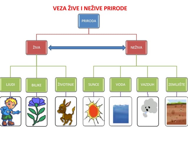 žIva i neživa priroda | PPT