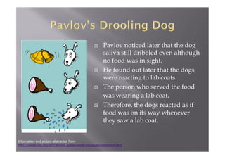 Ivan Pavlov | PDF