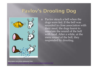Ivan Pavlov | PDF