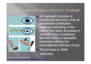 Ivan Pavlov | PDF