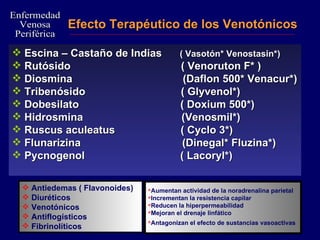 Insuficiencia Venosa de Miembros Inferiores | PPT