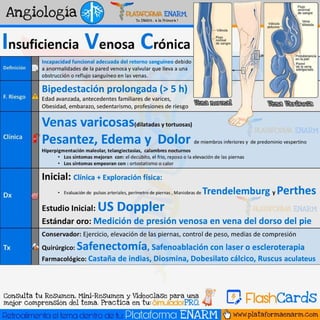 Insuficiencia venosa crónica | PDF