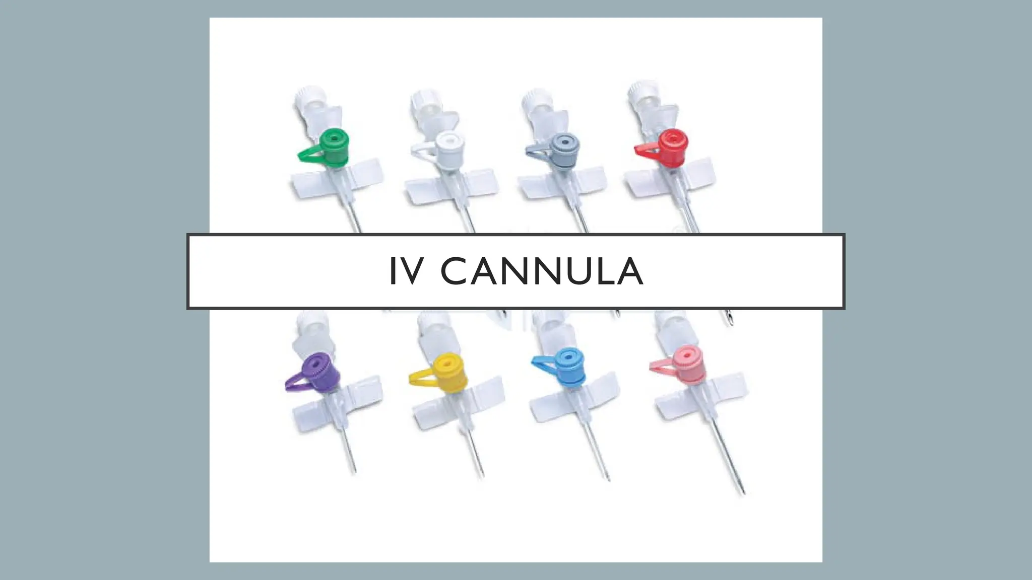 IV cannula and equipment for Medication Administration | PPTX