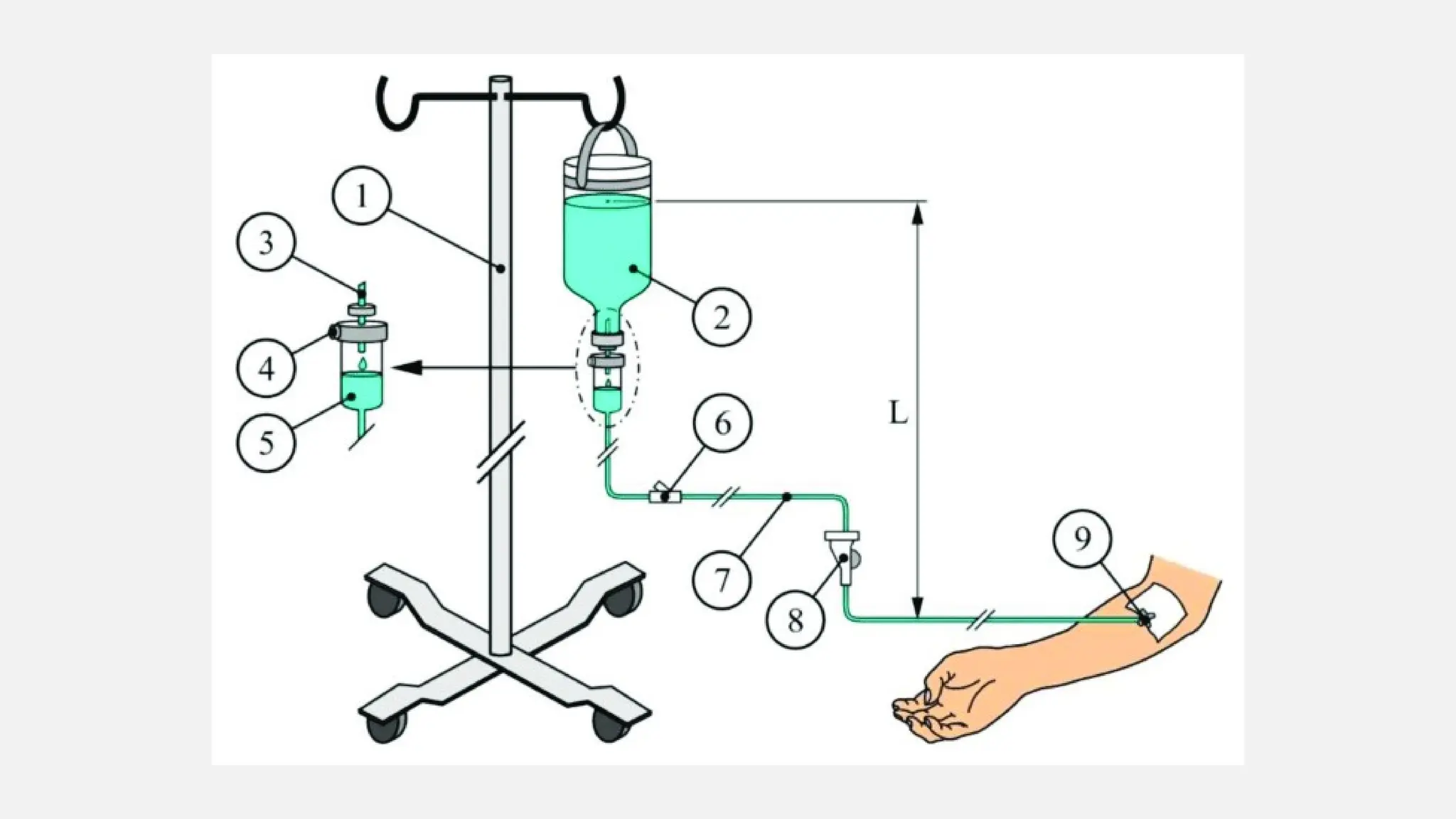 IV cannula and equipment for Medication Administration | PPTX