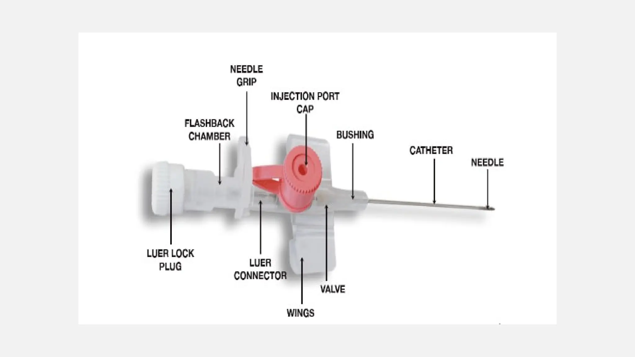 IV cannula and equipment for Medication Administration | PPTX