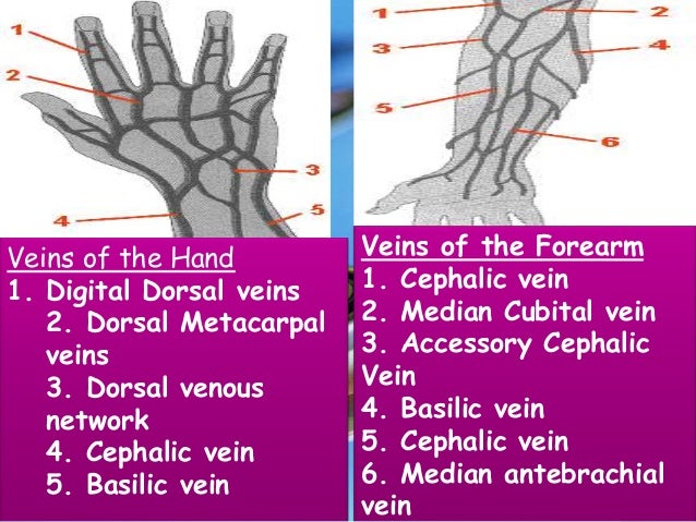 IV CANNULA INSERTION