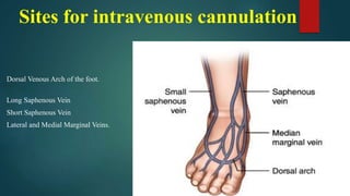 IV cannulajgfftion.pdf