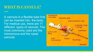 IV CANNULATION .pptx