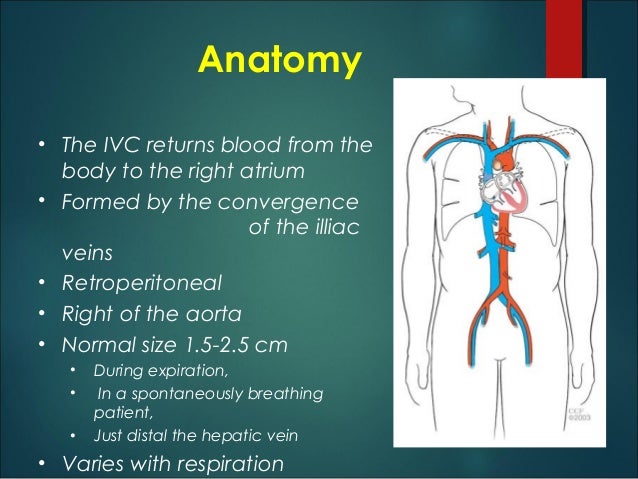 Ivc guided fluid management in the icu