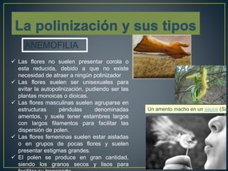 I vcontrol de la polinizacion copia | PPTX